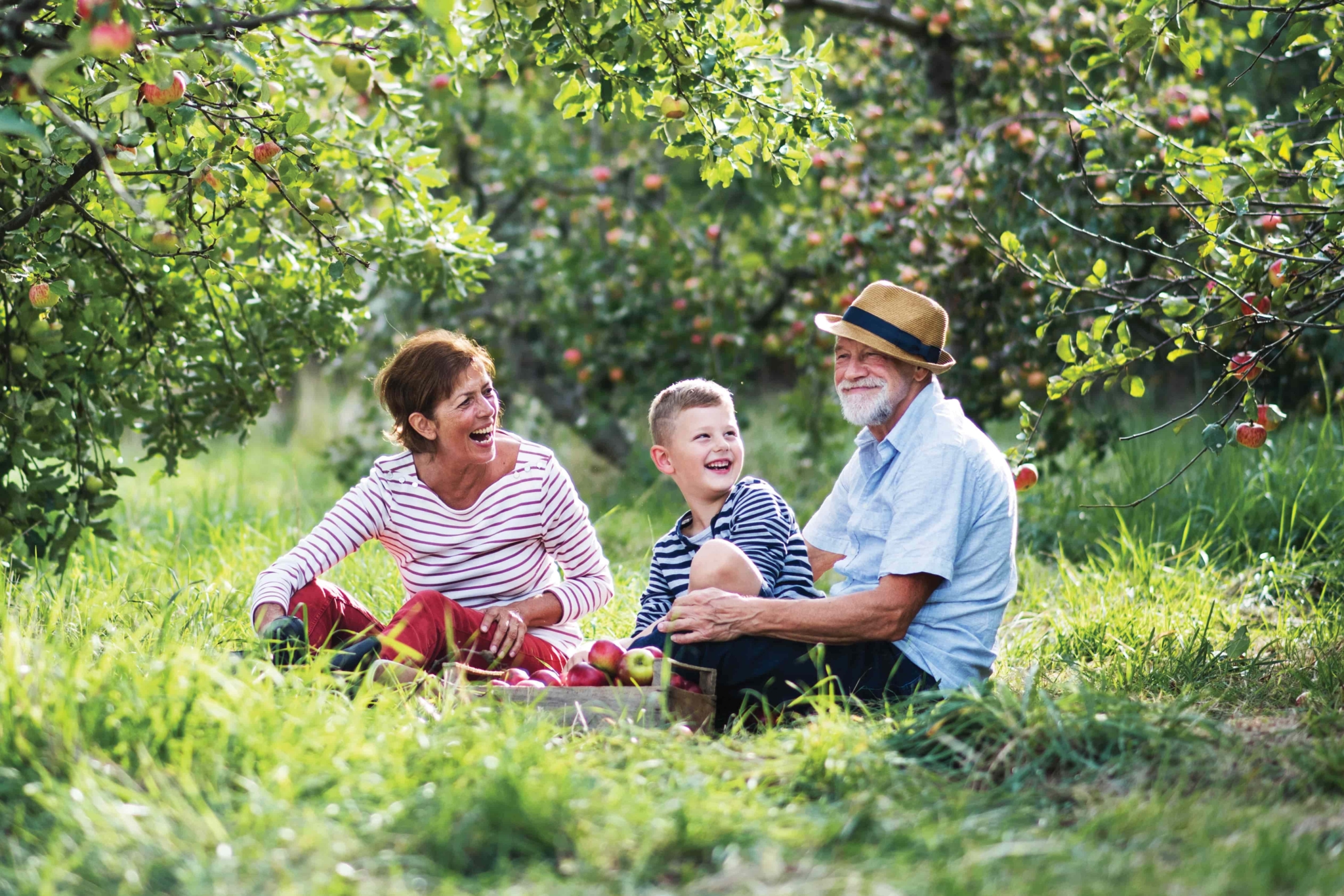 The Restaurant That Makes Mistakes | Dementia NZ