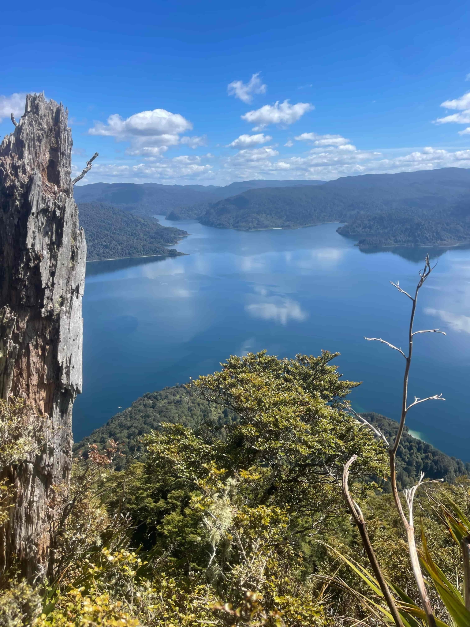 Lake Waikaremoana – The Great Walk Challenge Begins | Dementia NZ